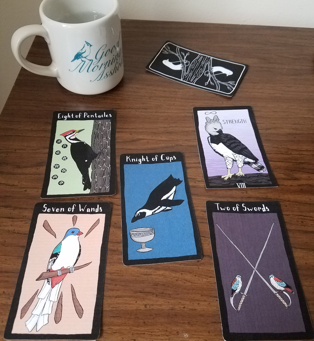 Finding missing pieces with the Conference of the Birds Tarot | The ...